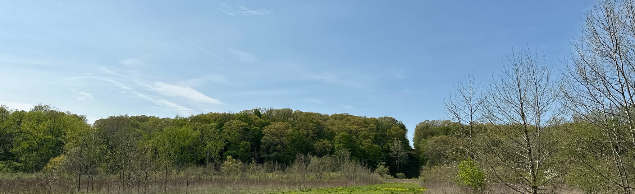 Tippecanoe Battlefield and Prophet Rock Loop: 173 foto's - Indiana ...