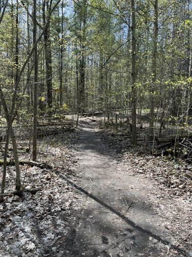 Best Hikes and Trails in Oak Ridges Corridor Conservation Reserve ...