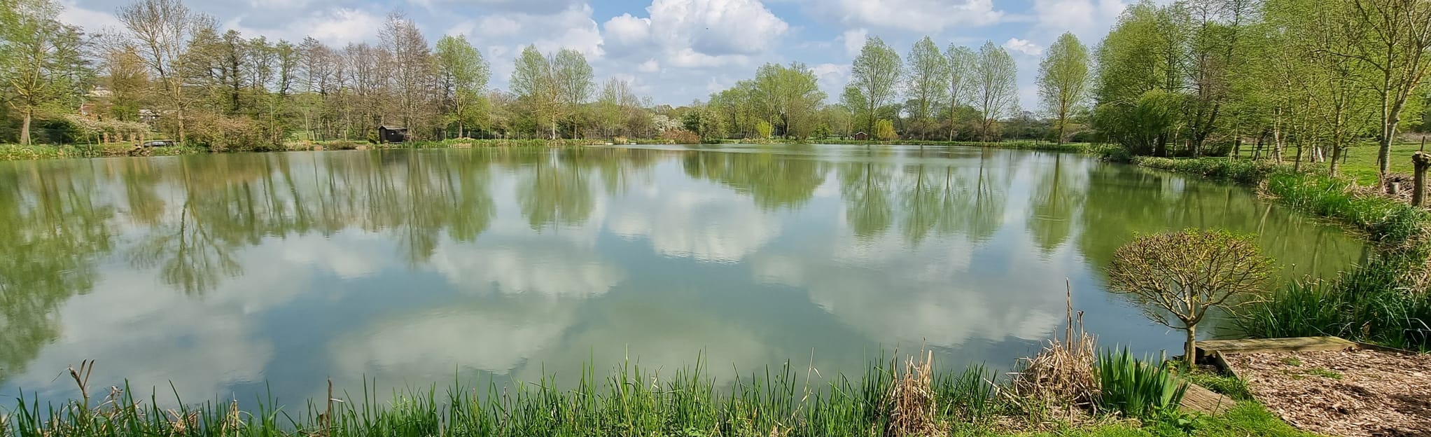 Chappel and Chalkney Wood: 143 Reviews, Map - Essex, England | AllTrails