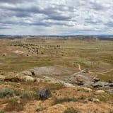 Trail Through Time, Colorado - 292 Reviews, Map | AllTrails