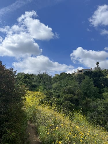 Best Hikes and Trails in Wilacre Park | AllTrails