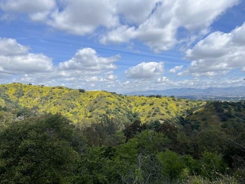 Best Hikes and Trails in Wilacre Park | AllTrails