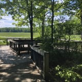 Great Marsh Trail, Virginia - 75 Reviews, Map | AllTrails