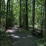Great Marsh Trail, Virginia - 75 Reviews, Map | AllTrails