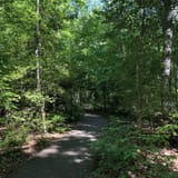 Great Marsh Trail, Virginia - 75 Reviews, Map | AllTrails