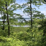 Great Marsh Trail, Virginia - 75 Reviews, Map | AllTrails