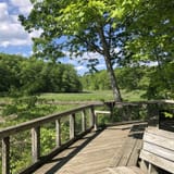 Great Marsh Trail, Virginia - 75 Reviews, Map | AllTrails