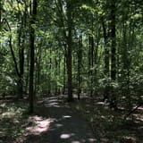 Great Marsh Trail, Virginia - 75 Reviews, Map | AllTrails