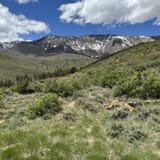 Utah Giant Sequoia Tree, Utah - 92 Reviews, Map | AllTrails