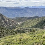 Utah Giant Sequoia Tree, Utah - 92 Reviews, Map | AllTrails