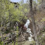 Ghost Falls via Little Corner Canyon Trail, Utah - 844 Reviews, Map ...