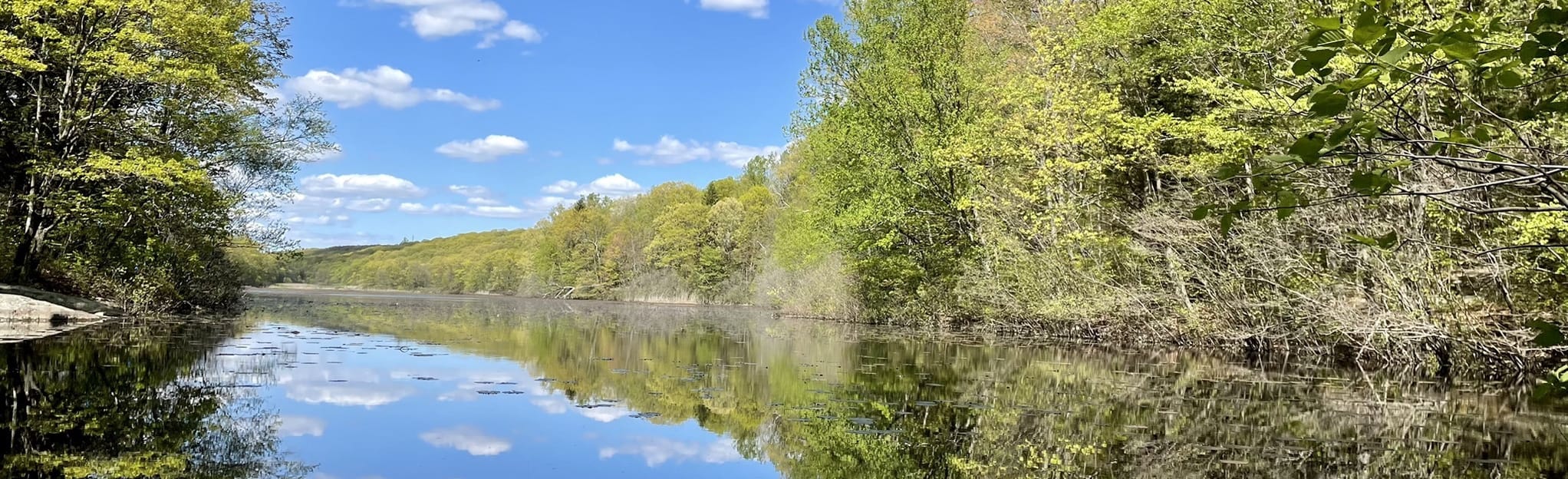 Ramapo Schuber and Ridge Loop Trail: 324 Reviews, Map - New Jersey ...