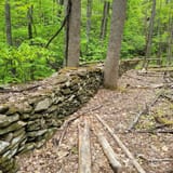 The Boogerman Trail, North Carolina - 434 Reviews, Map | AllTrails