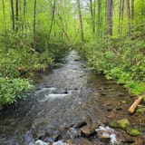 The Boogerman Trail, North Carolina - 434 Reviews, Map | AllTrails