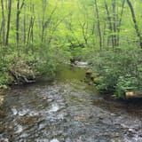 The Boogerman Trail, North Carolina - 434 Reviews, Map | AllTrails