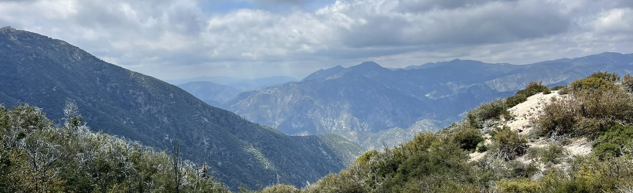 Colby Canyon Trail to Strawberry Meadow, California - 211 Reviews, Map ...