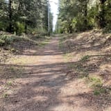 Weatherwax Trail, Washington - 294 Reviews, Map | AllTrails