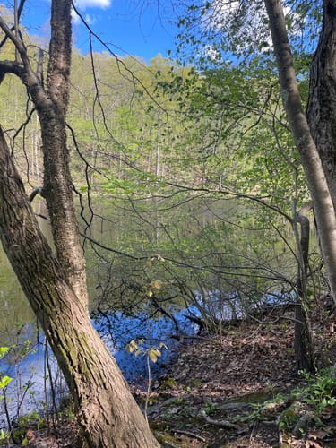 Best Hikes and Trails in Whippoorwill Park | AllTrails