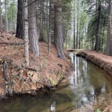 Lyons Dam, California - 531 Reviews, Map | AllTrails