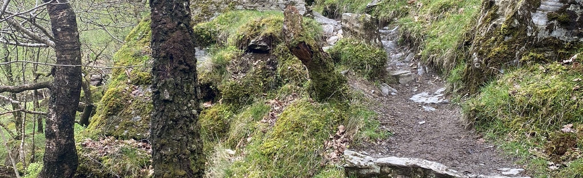 Cati's Cave Circular Walk , Powys, Wales - 28 Reviews, Map | AllTrails