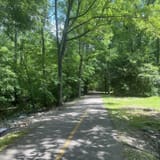 Walnut Creek Trail, North Carolina - 342 Reviews, Map | AllTrails