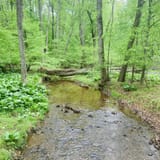 Three Notch Trail, Maryland - 210 Reviews, Map | AllTrails