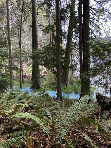 Best Hikes and Trails in Anderson Lake State Park | AllTrails