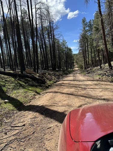 2023 Best Scenic Driving Trails in Coconino National Forest | AllTrails