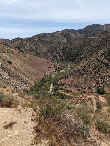 2023 Best Hot Springs Trails in Hesperia | AllTrails