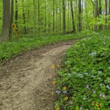 Bloodroot Trail, Indiana - 556 Reviews, Map | AllTrails