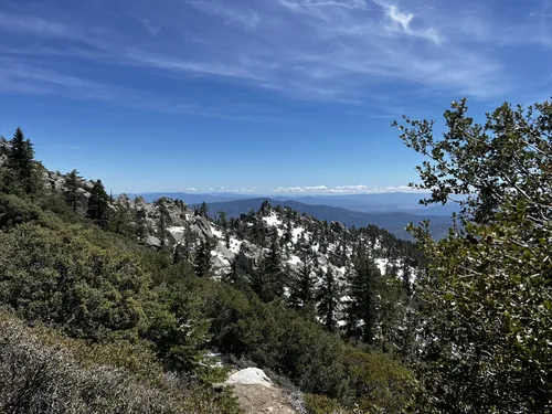 10 Best Trails and Hikes in Idyllwild-Pine Cove | AllTrails
