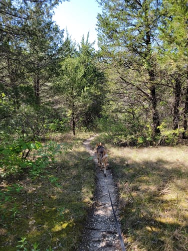 Best Hikes and Trails in Bonham State Park | AllTrails