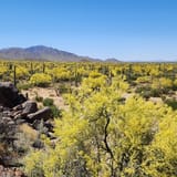 Picacho Mountains Petroglyph Sites, Arizona - 126 Reviews, Map | AllTrails