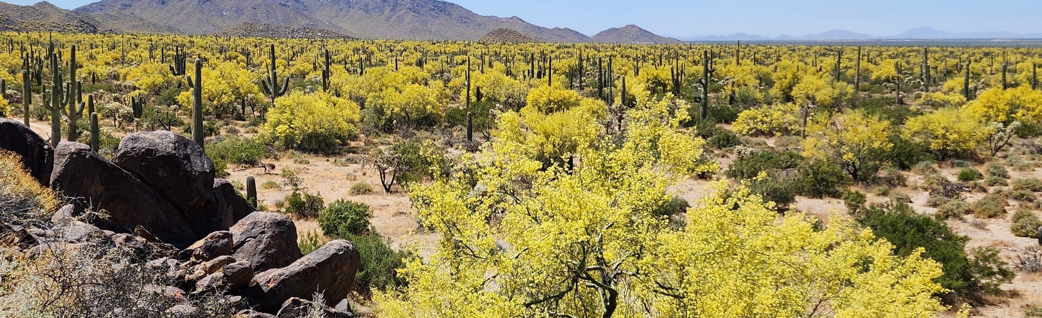 Picacho Mountains Petroglyph Sites, Arizona - 116 Reviews, Map | AllTrails