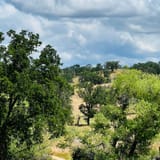 Hensley Lake Day Use Areas Trail, California - 356 Reviews, Map | AllTrails