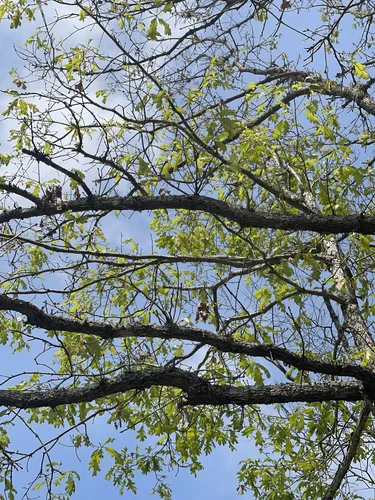 Best Hikes and Trails in Gist Ranch Conservation Area | AllTrails