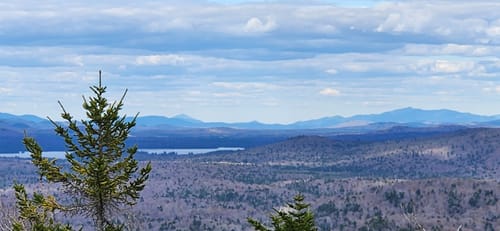 2023 Best Forest Trails in Independence River Wild Forest | AllTrails