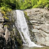 North Fork Moormans River, Virginia - 594 Reviews, Map | AllTrails