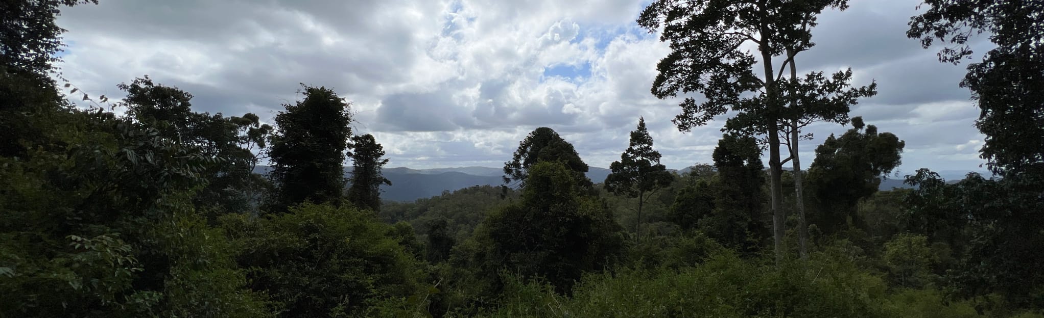 Mount Allan from Charlie Moreland Campground, Queensland, Australia ...