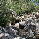Rogers Canyon Trail via Reavis Ranch Trail, Arizona - 324 Reviews, Map ...