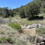 Rogers Canyon Trail via Reavis Ranch Trail, Arizona - 309 Reviews, Map ...