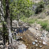 Rogers Canyon Trail via Reavis Ranch Trail, Arizona - 309 Reviews, Map ...