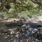 Rogers Canyon Trail via Reavis Ranch Trail, Arizona - 309 Reviews, Map ...
