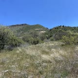 Rogers Canyon Trail via Reavis Ranch Trail, Arizona - 309 Reviews, Map ...