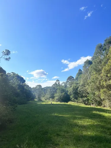 Best Walking Trails in Mount Nathan | AllTrails