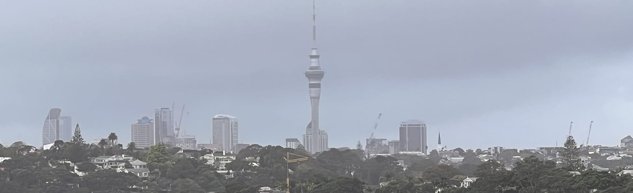 Coyle Park Loop, Auckland, New Zealand - 8 Reviews, Map | AllTrails