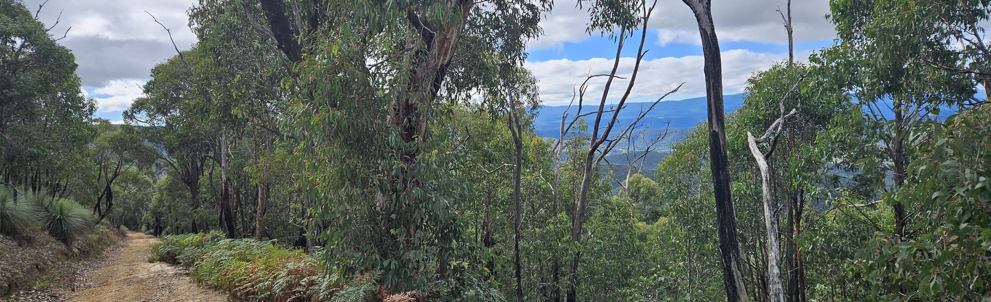 Bundy Track via Mount Everard and Mount Jerusalem Circuit, Victoria ...
