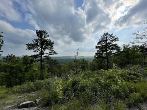 Best Hikes and Trails in Peck Ranch Conservation Area | AllTrails