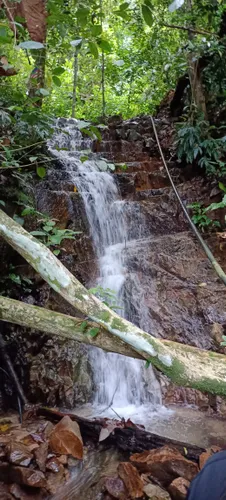 10 Best Hikes and Trails in Hutan Lipur Soga Perdana | AllTrails