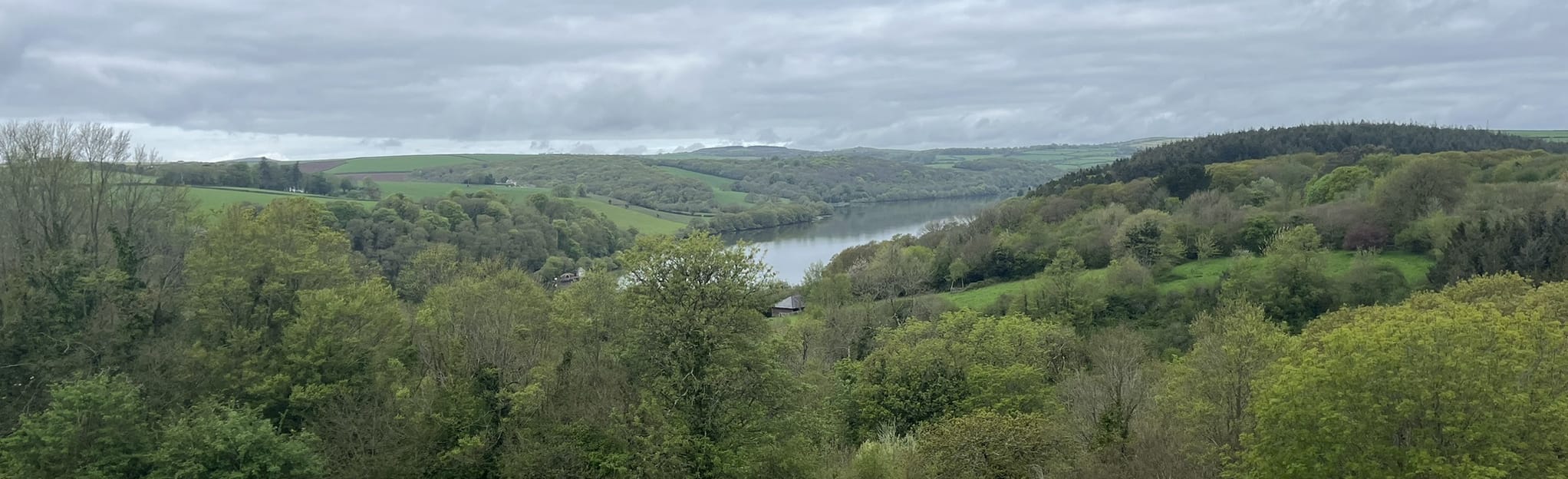 Lerryn Wood Circular Walk, Cornwall, England - 39 Reviews, Map | AllTrails